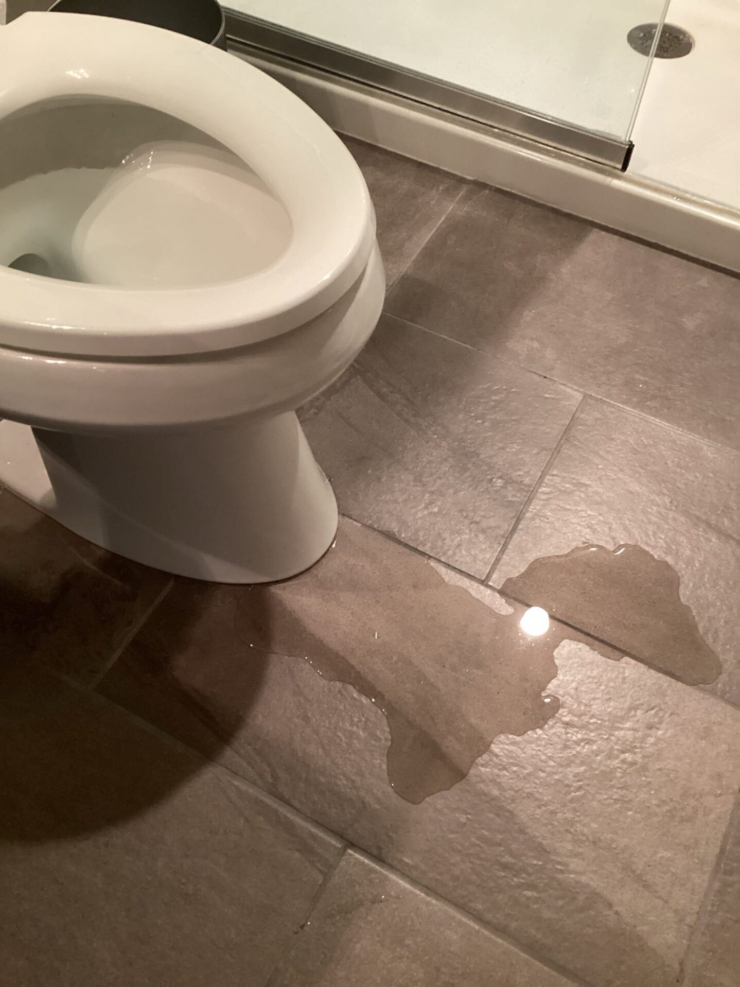 Roots in Pipes After a Hot & Dry Summer | Edwards Royal Comfort